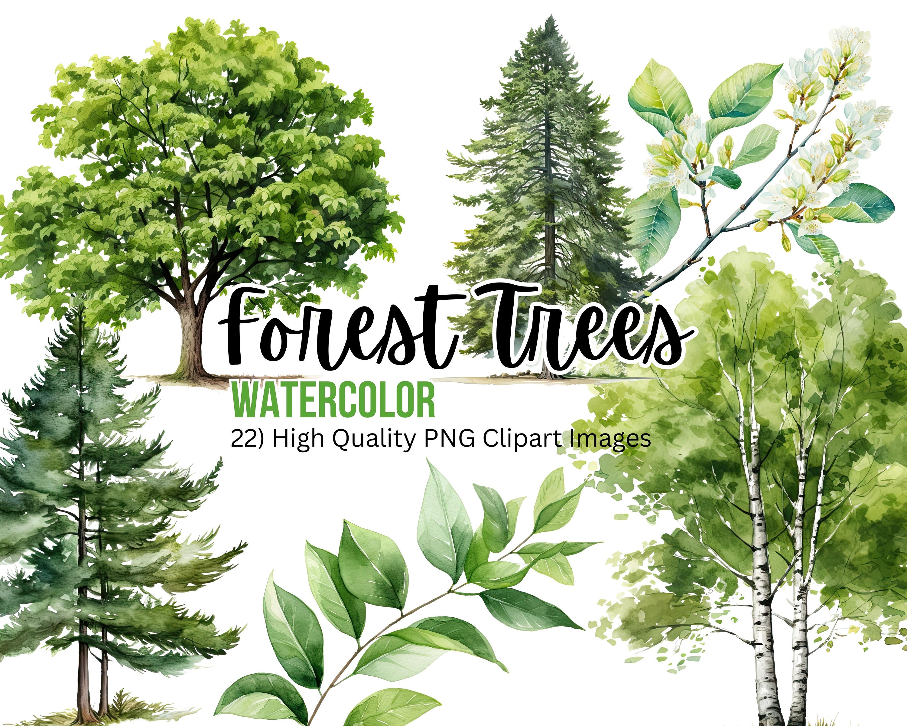 Green Forest Trees Clip Art