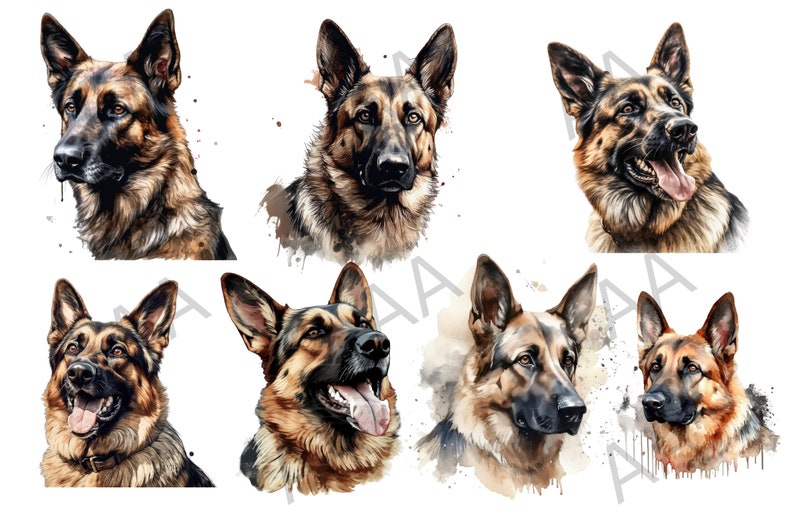 Watercolor German Shepherds PNG Clipart, SVG, German Shepherd Mom ...