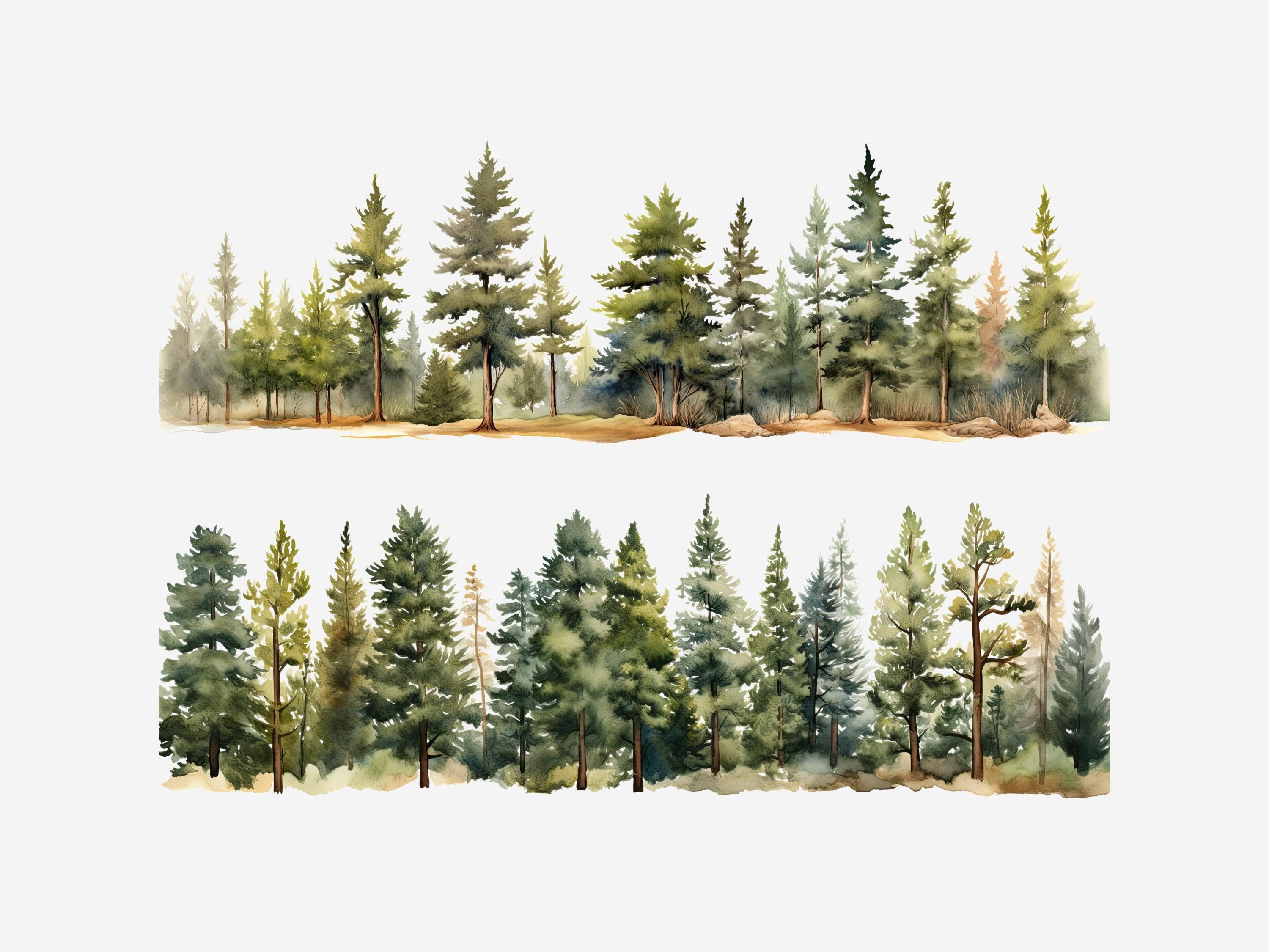 Watercolor Forest Borders PNG Tree Borders Watercolor Tree Clipart ...