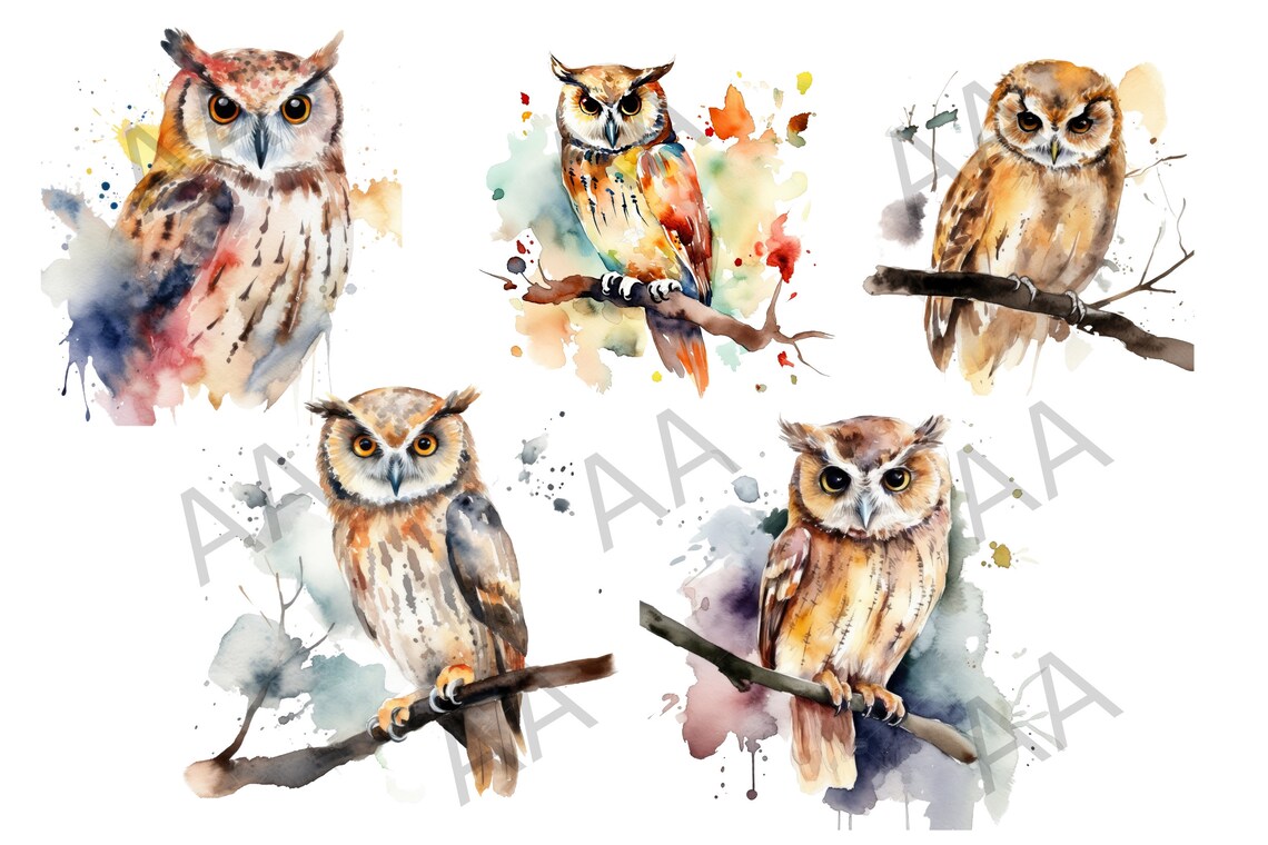 Watercolor Owls PNG Owl Clipart Watercolor Owl PNG Colorful - Etsy