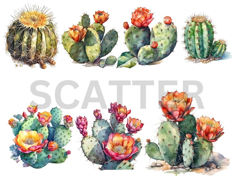 Watercolor Cactus Clipart Cactus PNG Watercolor Desert Clipart Desert ...