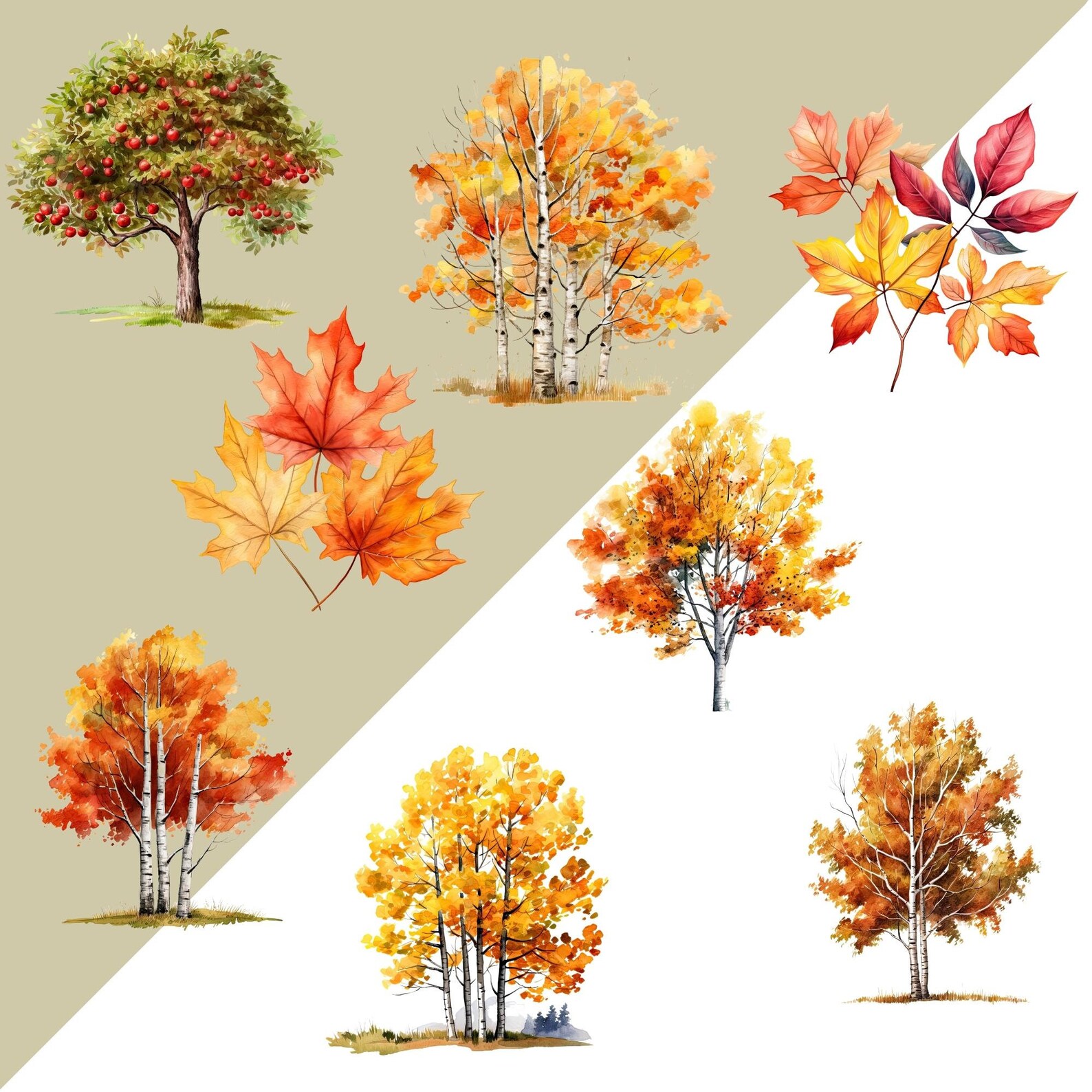 Watercolor Fall Trees Clipart Wedding Invitation Fall Foliage Clipart ...