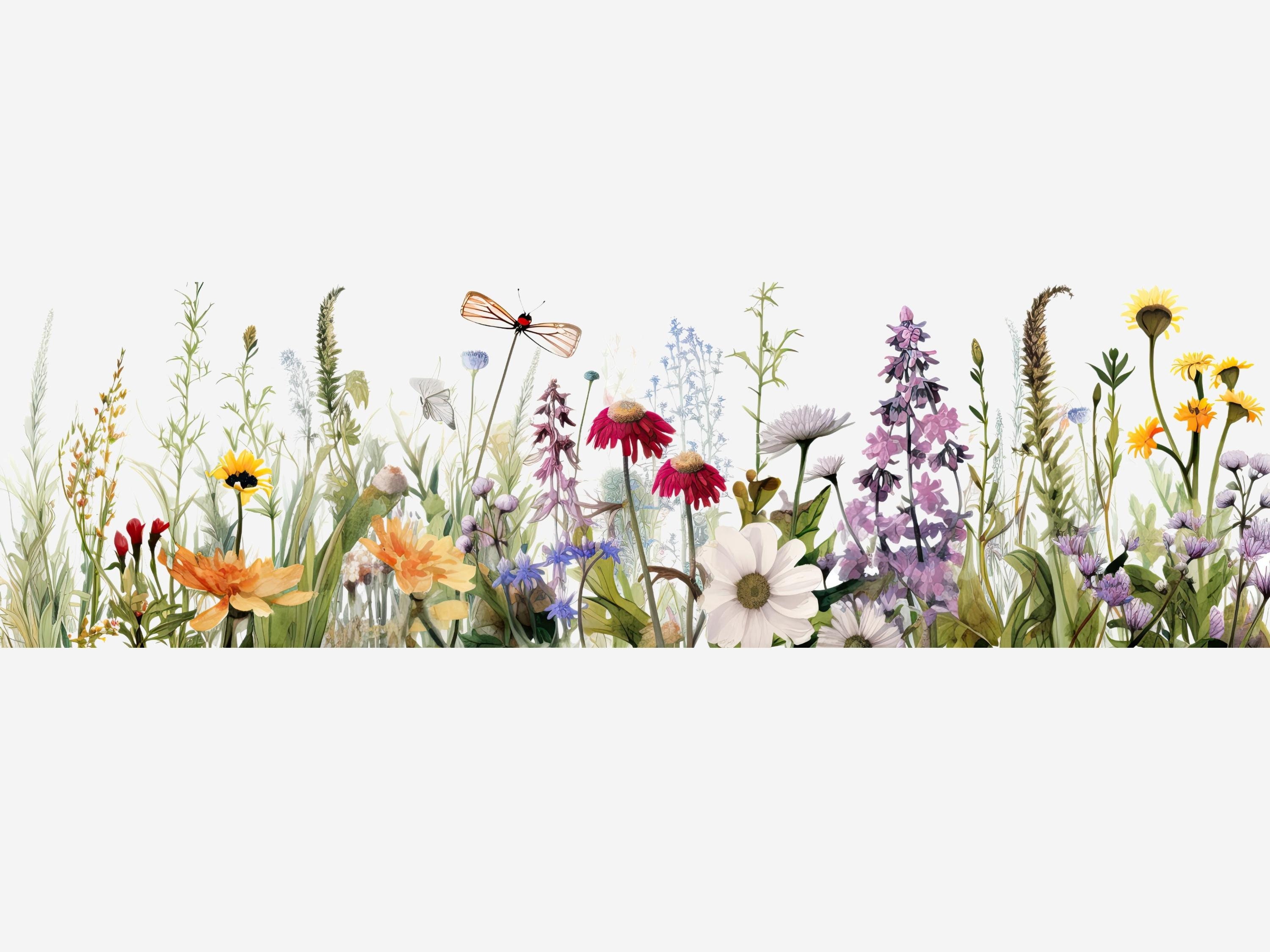 Watercolor Wildflower Borders PNG | Floral Borders | Watercolor Flower ...