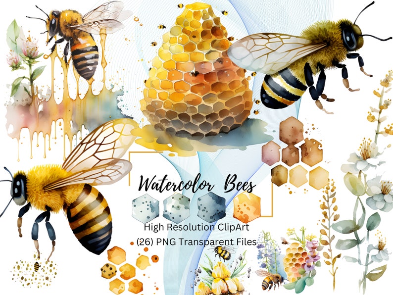 Floral Spring Honey Bee Watercolor Bee PNG Spring Clipart Watercolor ...