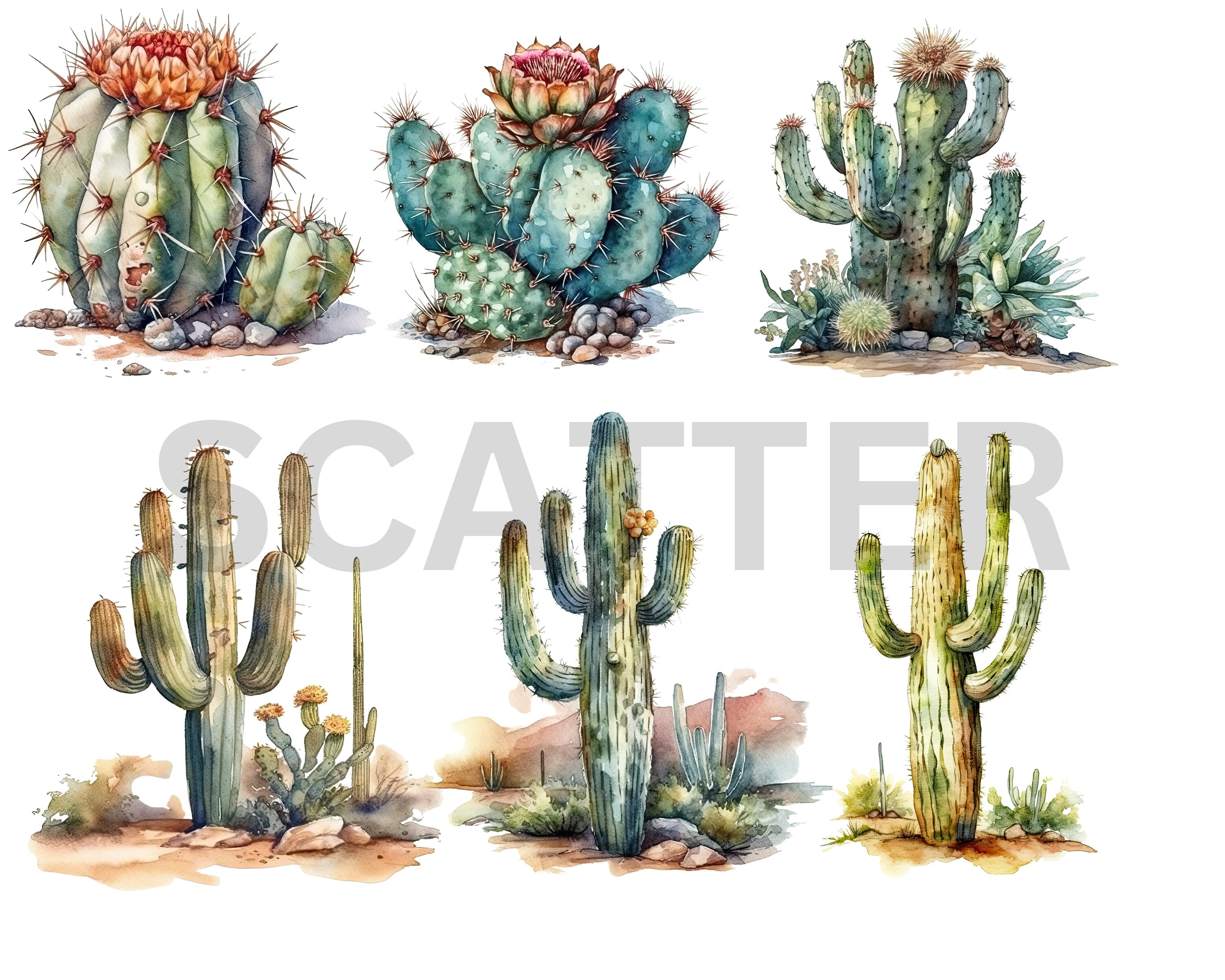 Watercolor Cactus Clipart Cactus PNG Watercolor Desert Clipart Desert ...