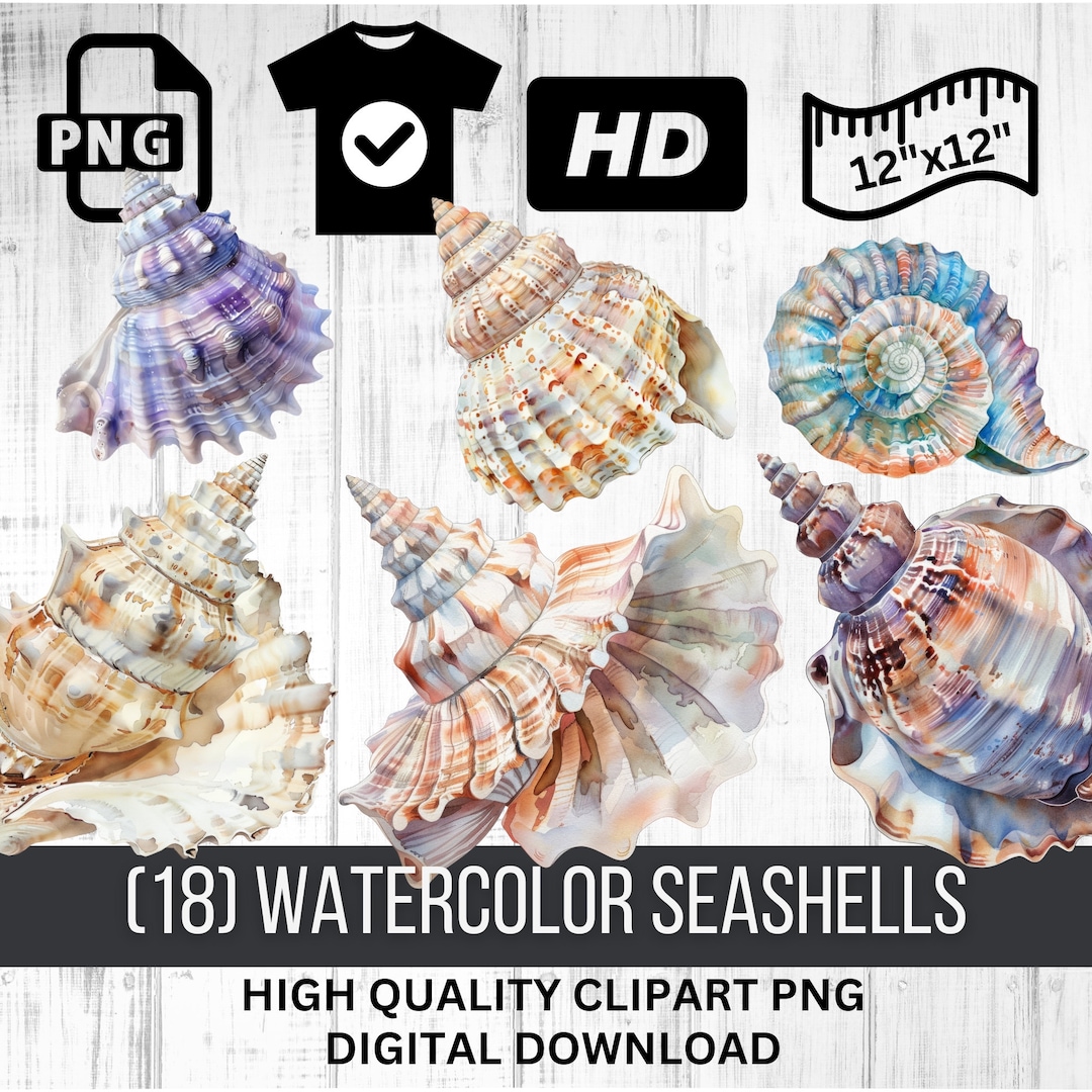Elegant Watercolor Seashell Clipart Collection – Marine Life ...