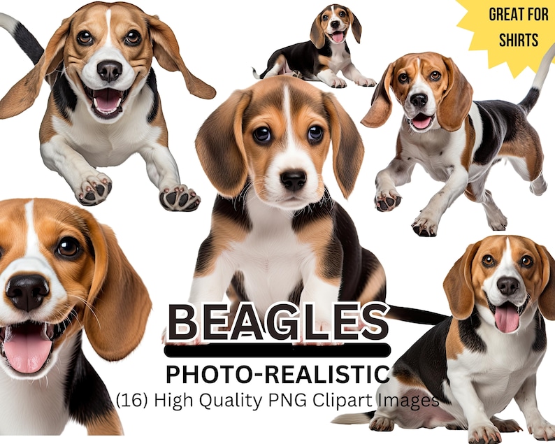 Beagle Clipart Photo Realistic Beagle Dog PNG Beagle - Etsy
