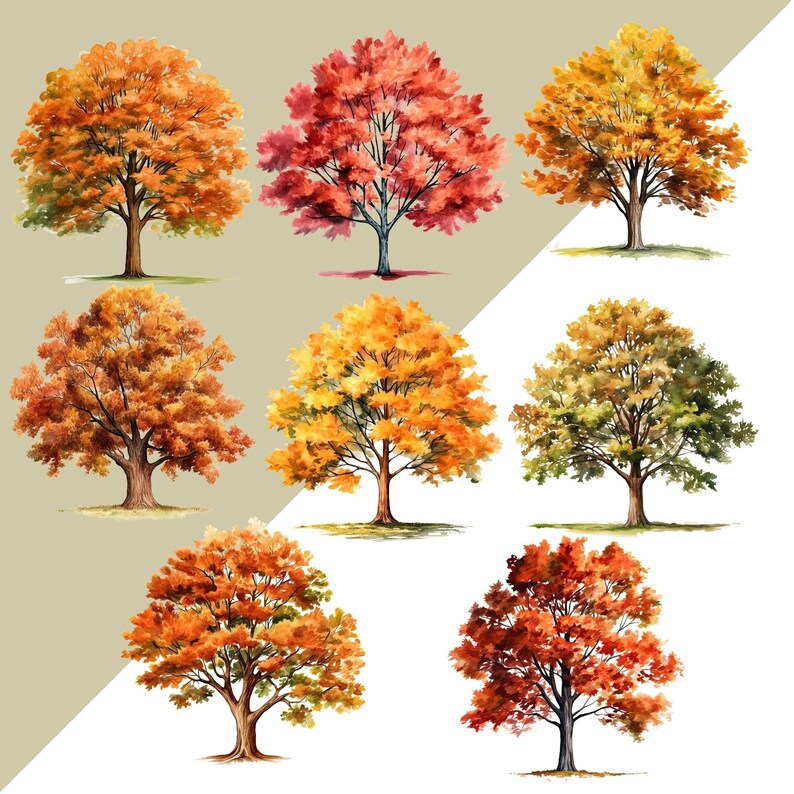 Watercolor Fall Trees Clipart Wedding Invitation Fall Foliage Clipart ...