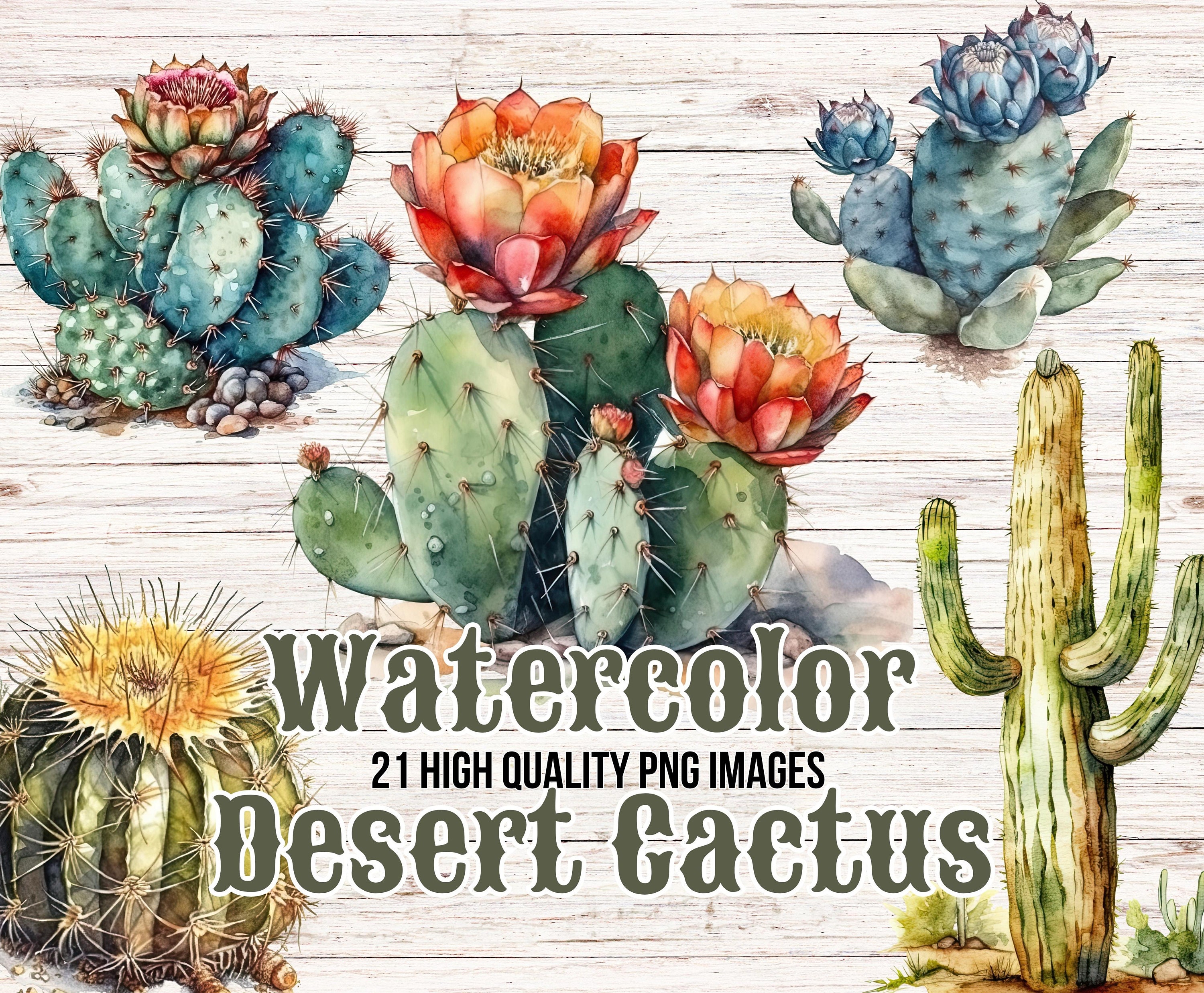 Watercolor Cactus Clipart Cactus PNG Watercolor Desert Clipart Desert ...