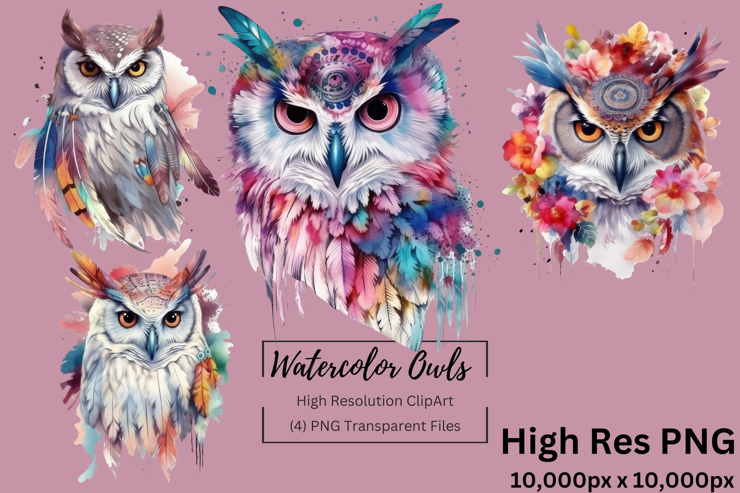 Watercolor Owls Clipart, Owl Decal PNG, Instant Download, Owl ...