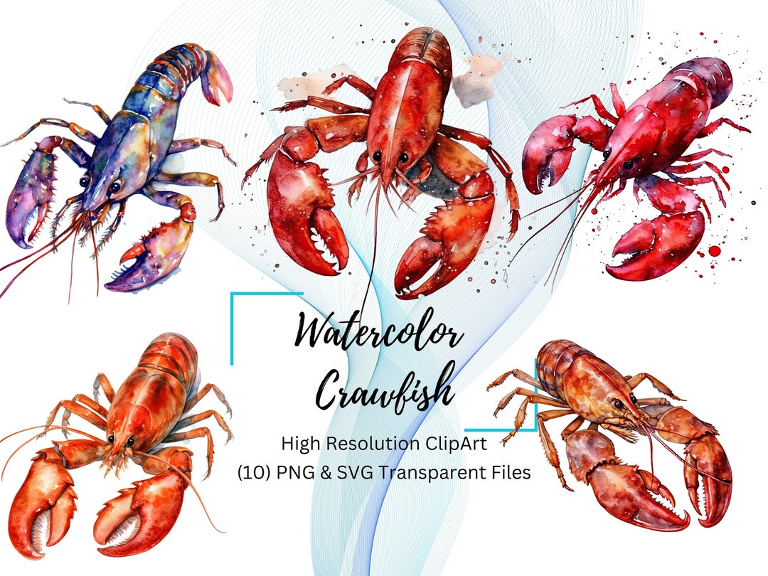 Watercolor Crawfish Clipart, Crawfish PNG, Digital Download, Crawfish ...