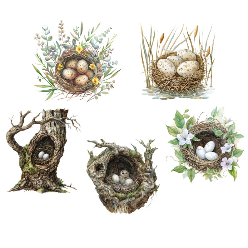 Watercolor Bird Nests and Eggs Clipart Collection | High-resolution ...