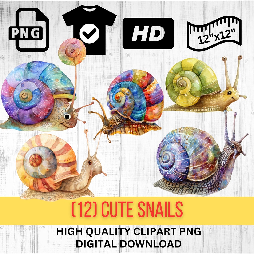 Cute Snail Clipart | Snails PNG | Colorful Snails | Instant Download - Etsy