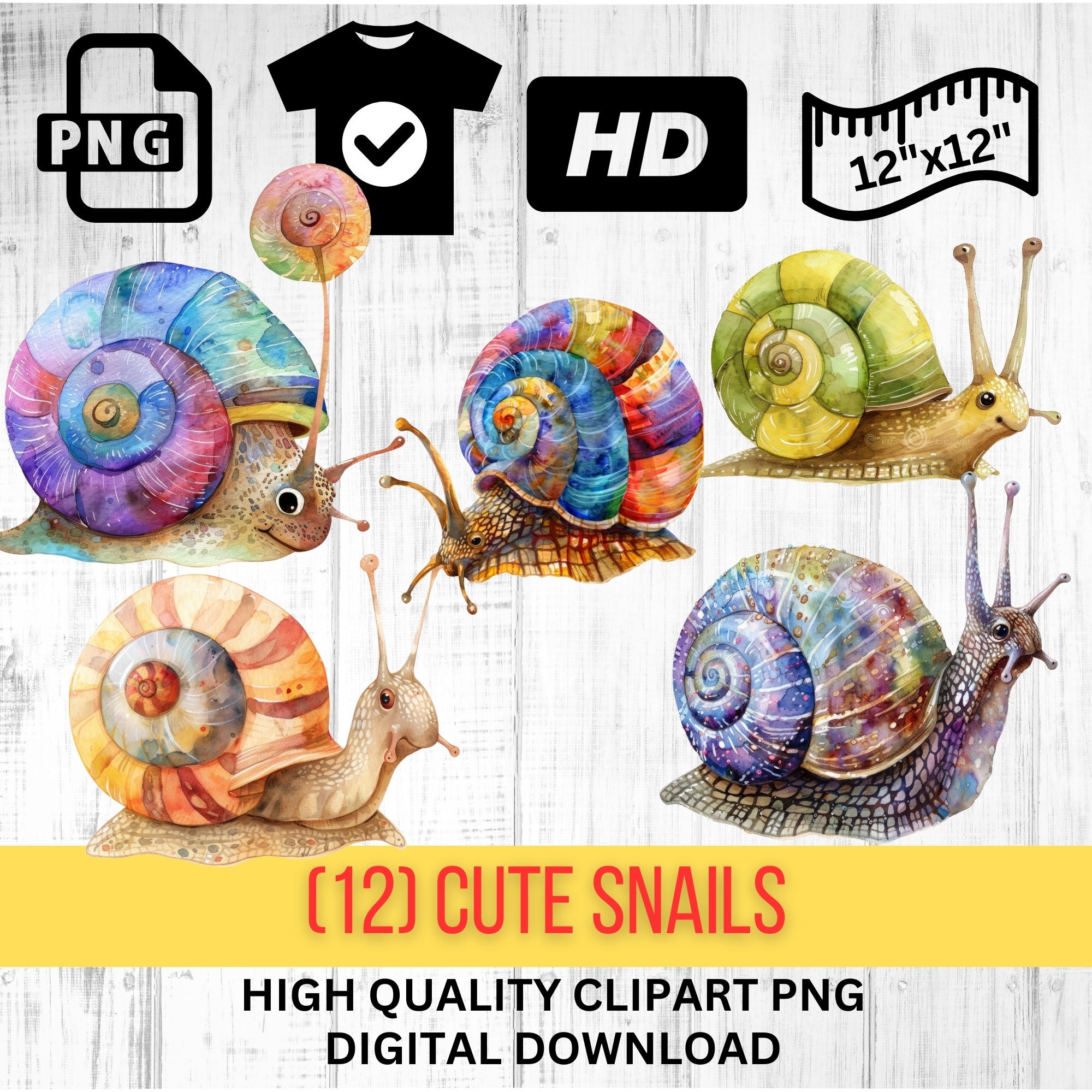 Cute Snail Clipart Snails PNG Colorful Snails Instant Download - Etsy