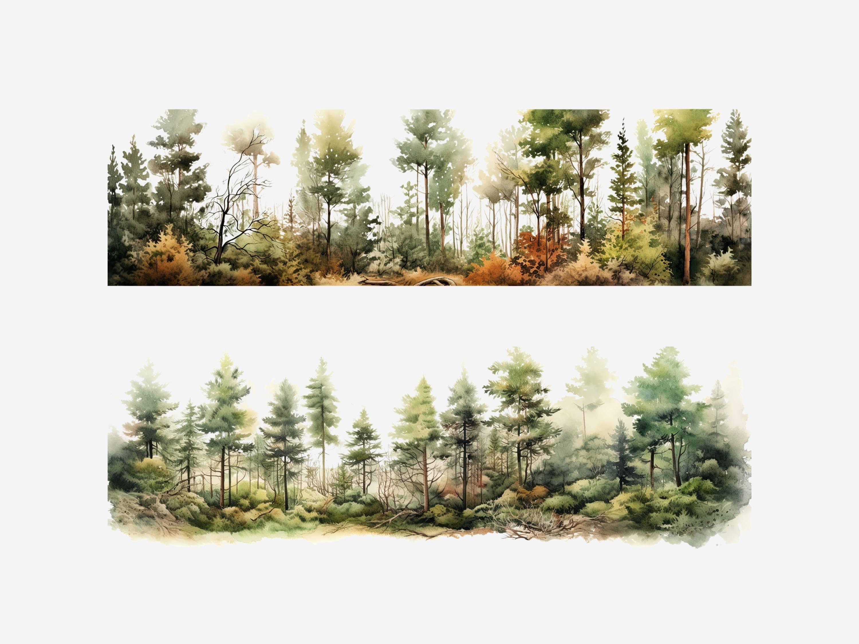 Watercolor Forest Borders PNG Tree Borders Watercolor Tree Clipart ...