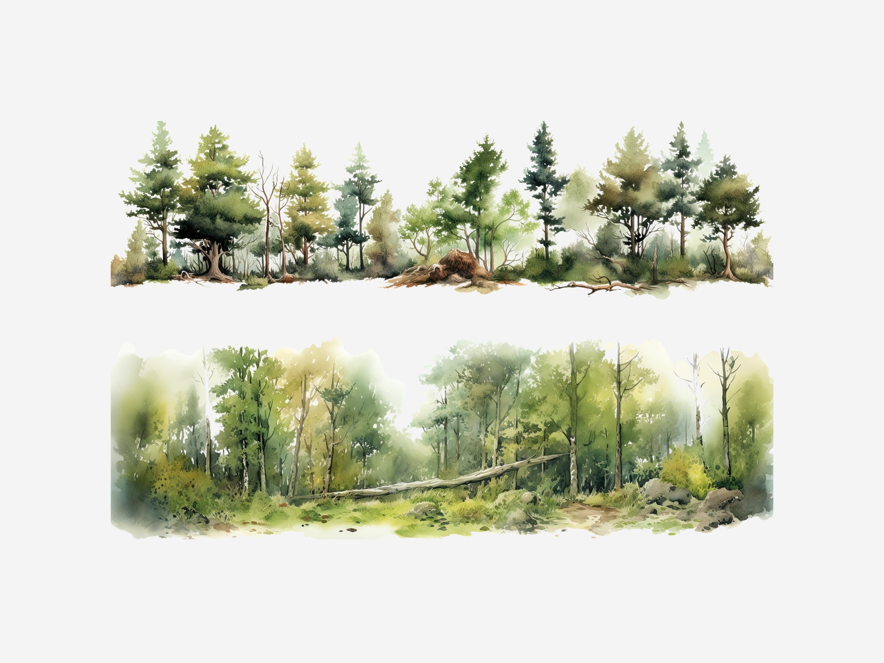 Watercolor Forest Borders PNG Tree Borders Watercolor Tree Clipart ...