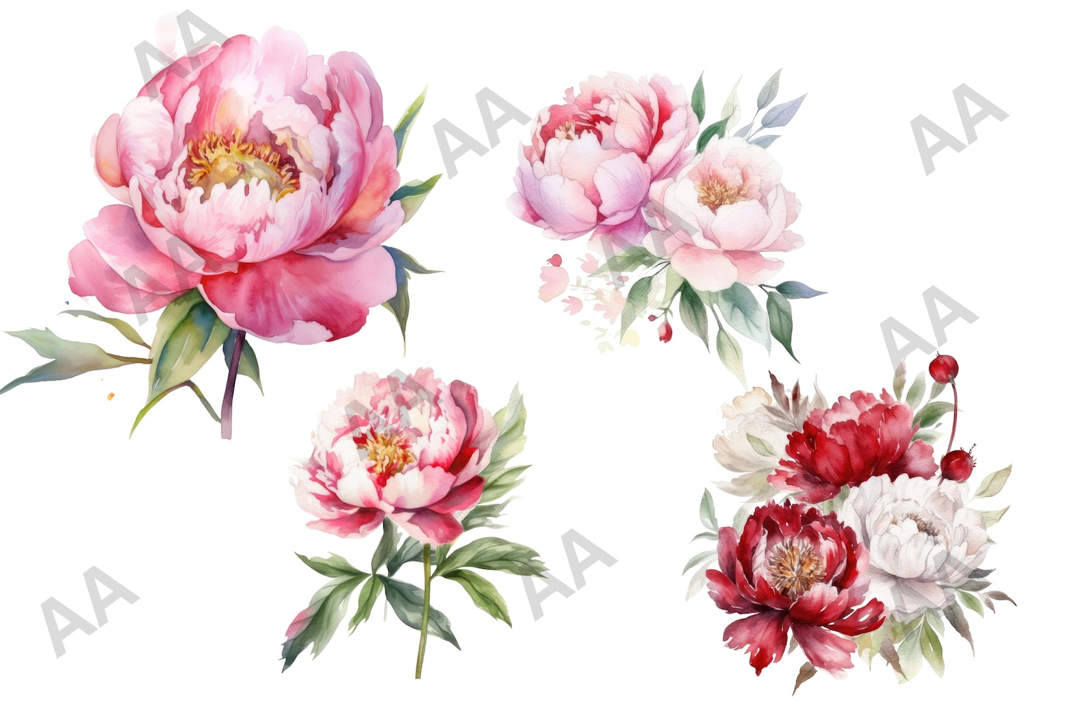 Watercolor Peony Flowers Clipart Flower Pink Peony Floral PNG Floral ...
