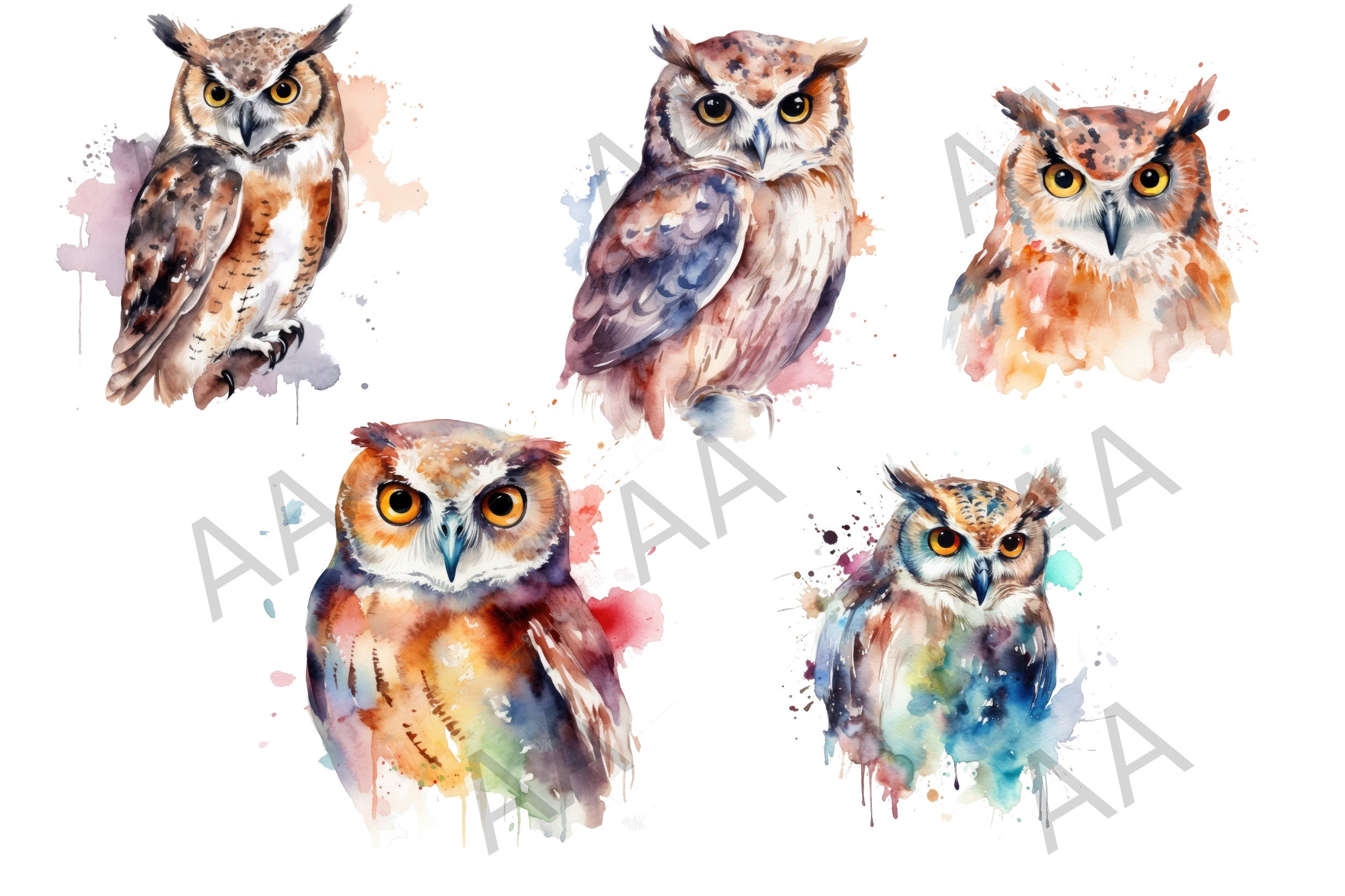 Watercolor Owls PNG, Owl Clipart, Watercolor Owl PNG, Colorful Owl Art ...