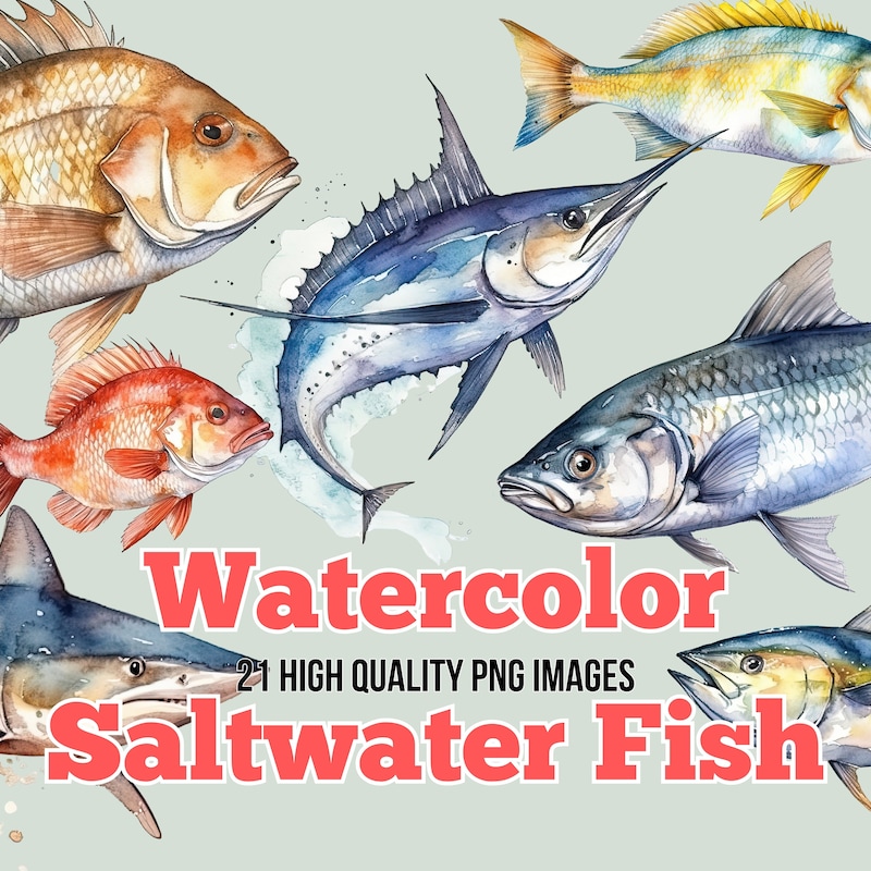 Saltwater Fish Collage - Etsy