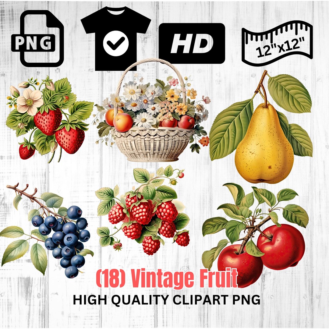 Vintage Fruit Clipart | Fruit Basket Clipart | Fruit Art | Apple ...