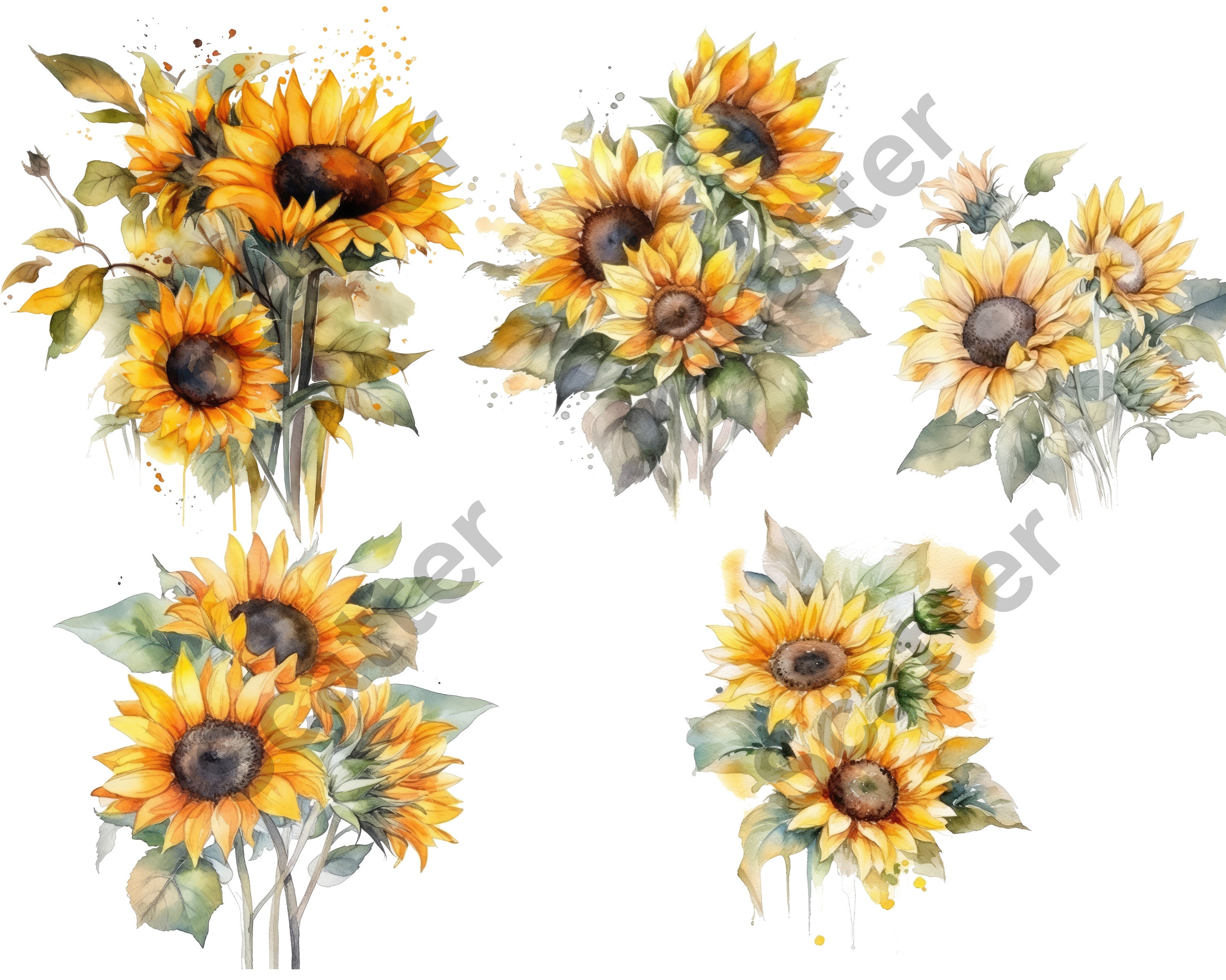 Watercolor Sunflowers Clipart, PNG, Floral Bouquets, Wreath, SVG Free ...