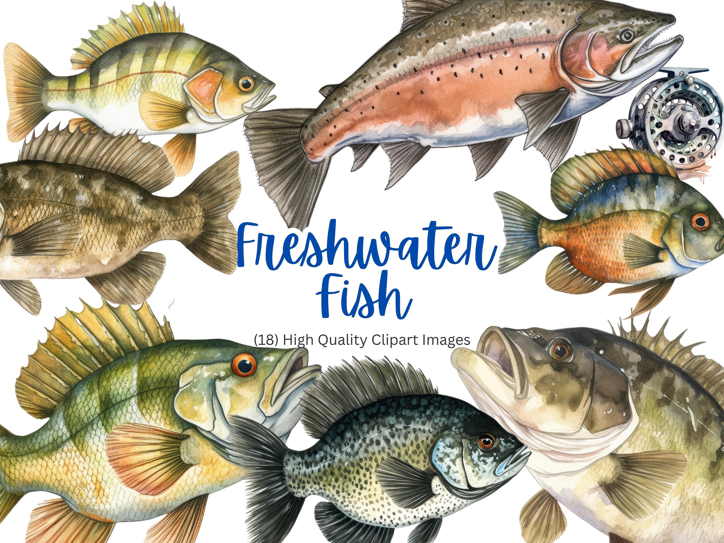 Clipart Fishing Fly Fishing SVG Bass Fishing Clipart Sun Fish Clipart ...