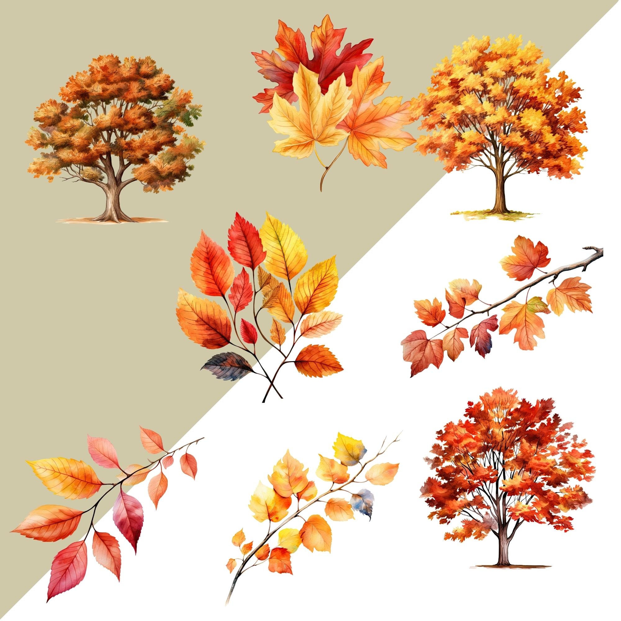 Watercolor Fall Trees Clipart Wedding Invitation Fall Foliage Clipart ...