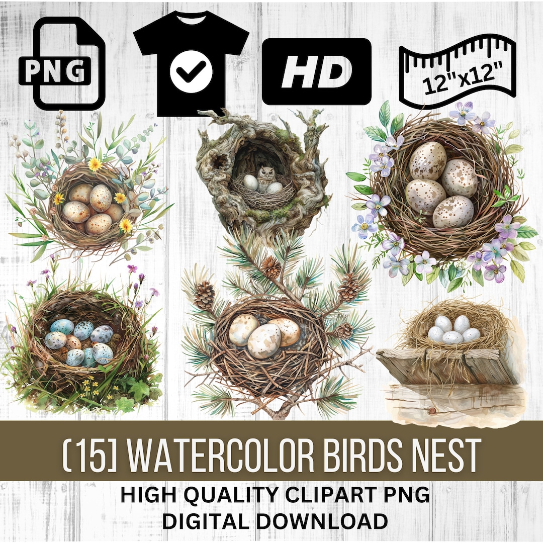 Watercolor Bird Nests and Eggs Clipart Collection | High-resolution ...