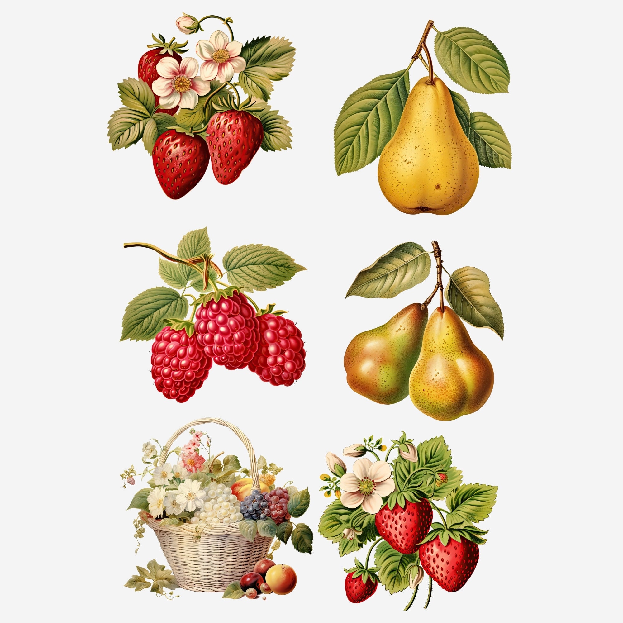 Vintage Fruit Clipart Fruit Basket Clipart Fruit Art - Etsy