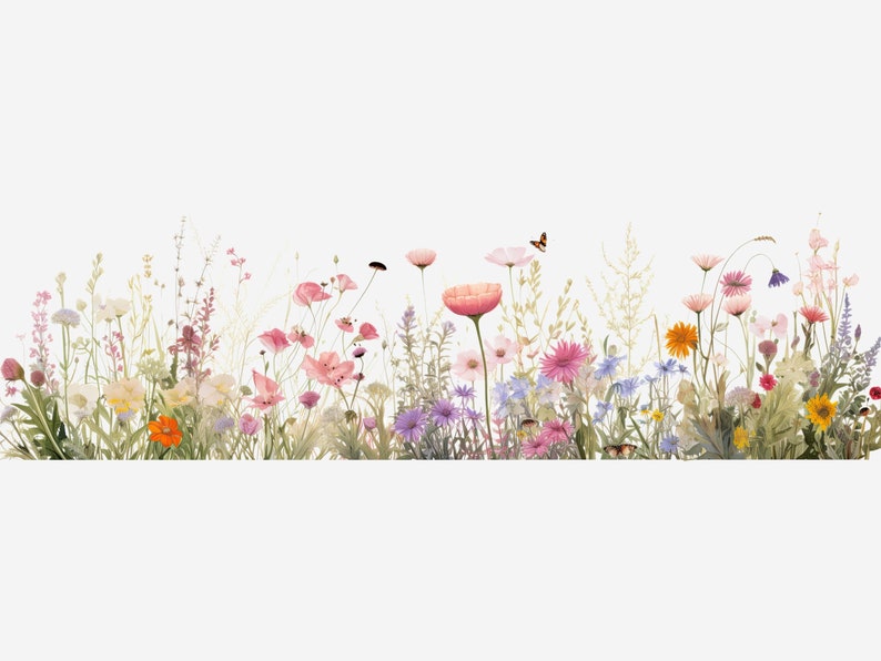 Watercolor Wildflower Borders PNG | Floral Borders | Watercolor Flower ...