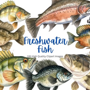 Outdoor Bundle Clipart | Fish Clipart | Hunting Clipart | Hiking PNG ...