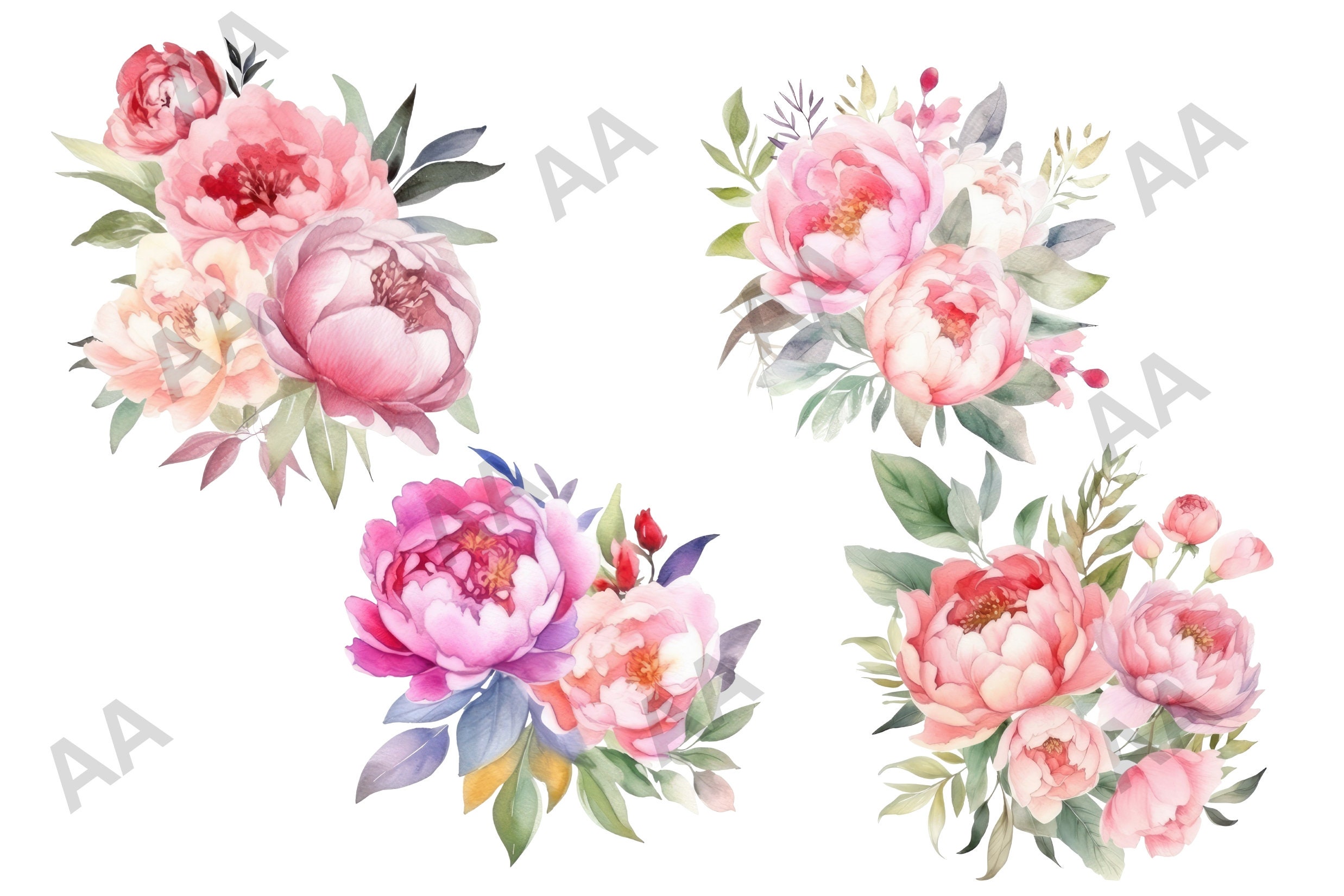 Watercolor Peony Flowers Clipart Flower Pink Peony Floral PNG Floral ...