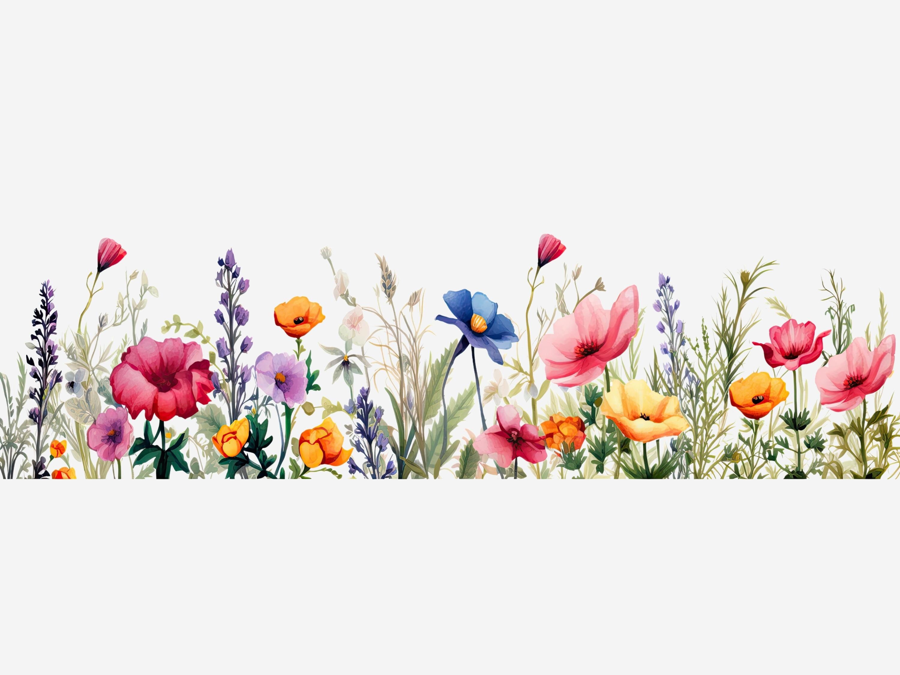 Watercolor Wildflower Borders PNG | Floral Borders | Watercolor Flower ...