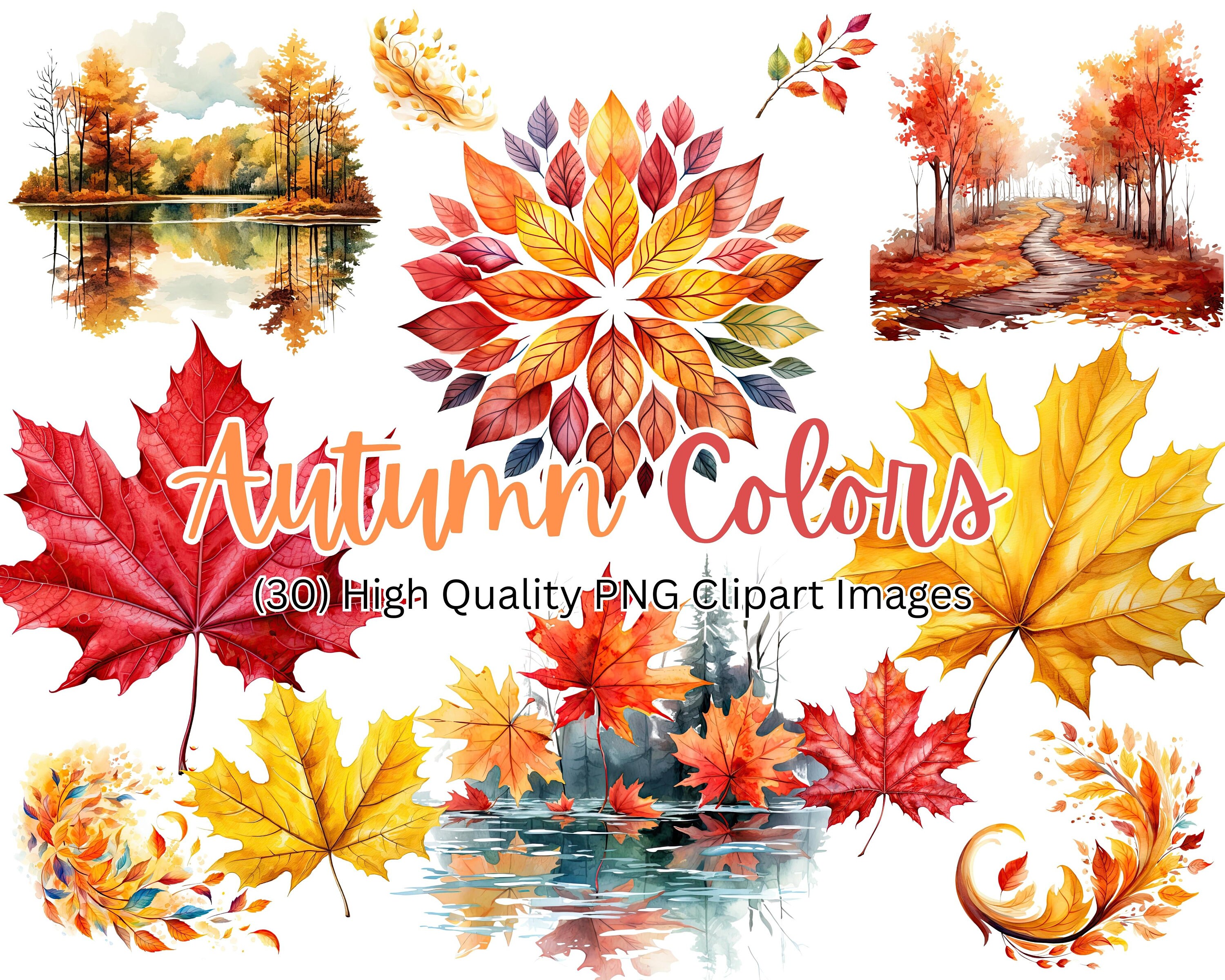 Fall Clipart Bundle Autumn Clipart Bundle Thanksgiving - Etsy