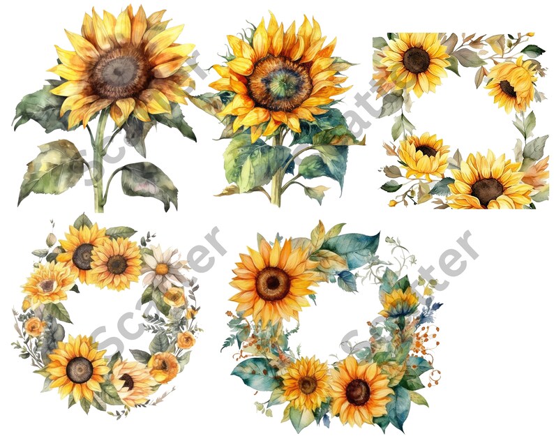 Watercolor Sunflowers Clipart, PNG, Floral Bouquets, Wreath, SVG Free ...