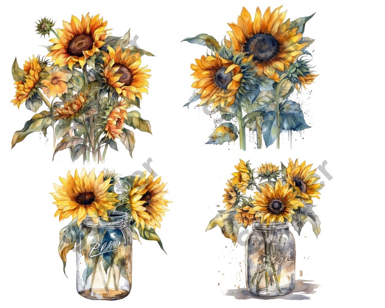 Watercolor Sunflowers Clipart, PNG, Floral Bouquets, Wreath, SVG Free ...