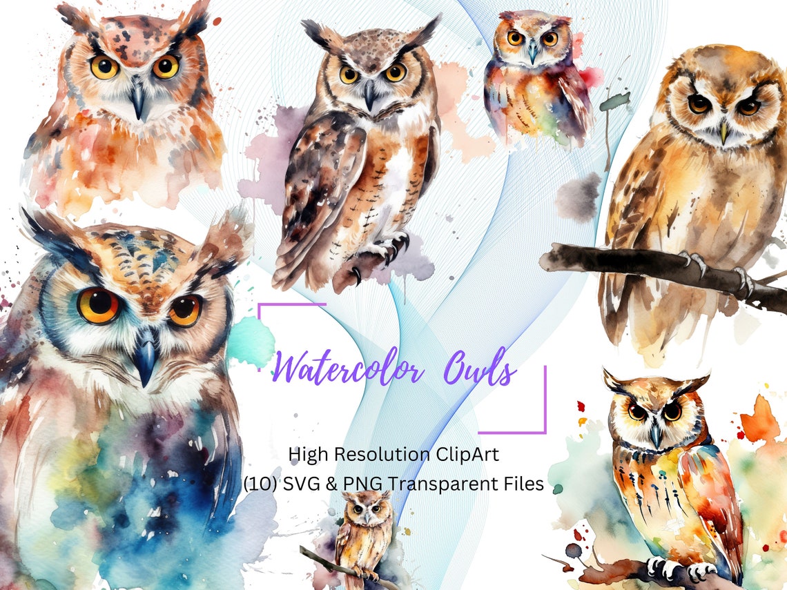 Watercolor Owls PNG Owl Clipart Watercolor Owl PNG Colorful - Etsy