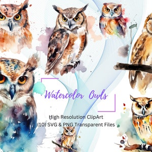 Watercolor Owls PNG, Owl Clipart, Watercolor Owl PNG, Colorful Owl Art ...