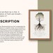 Digital Christian Print-rooted and Built up in Him, Bible Verse Wall ...