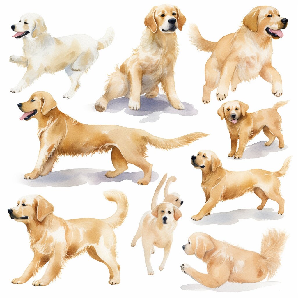 Watercolor Clipart Golden Retriever Puppies Pack PNG Files Playing ...
