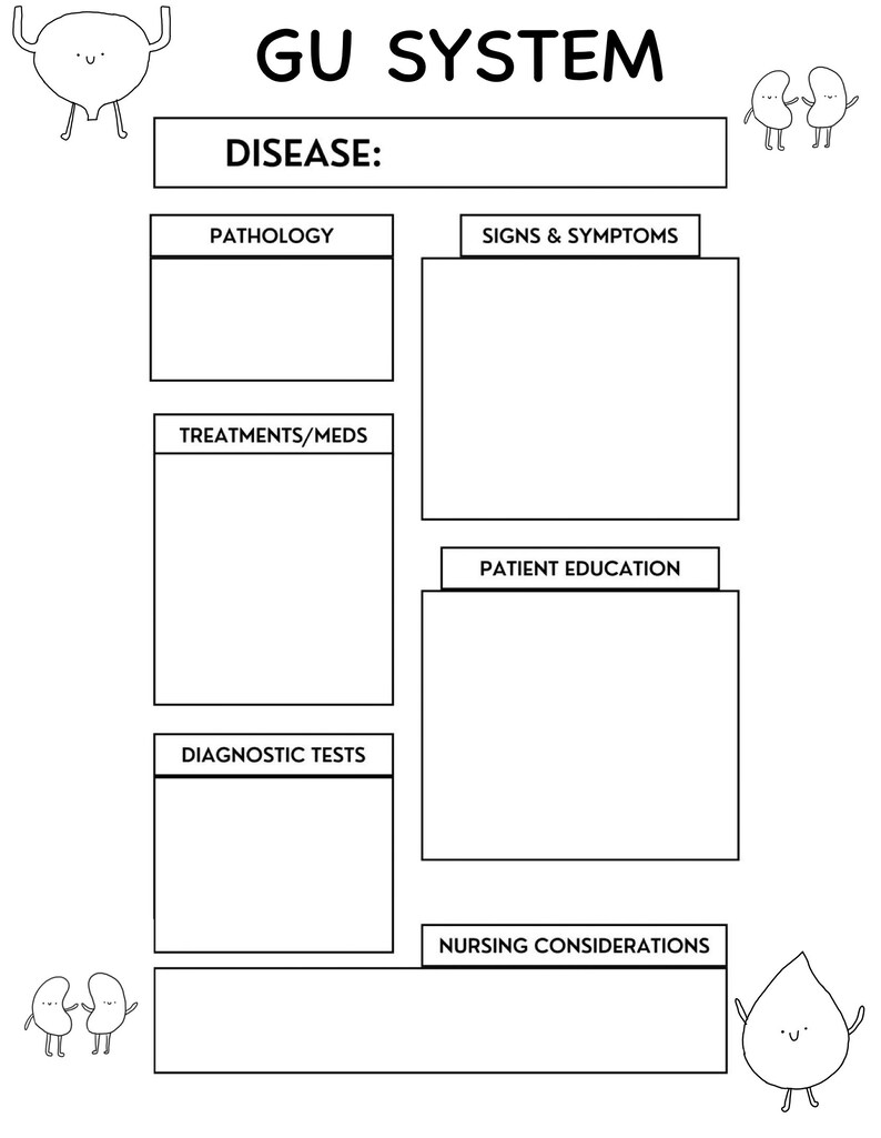 GU System Renal Nursing Study Sheet Fill-in - Etsy