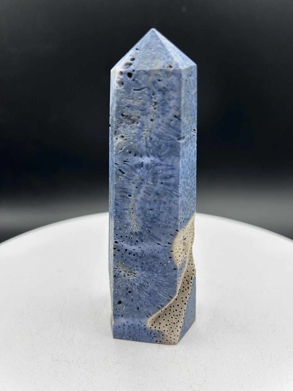 Ocean Blue Coral Tower - Etsy