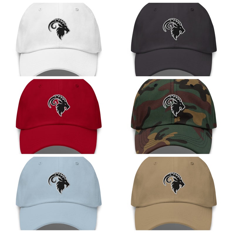 Capricorn Zodiac Sign Embroidered Hat, December January Birthday Gift ...