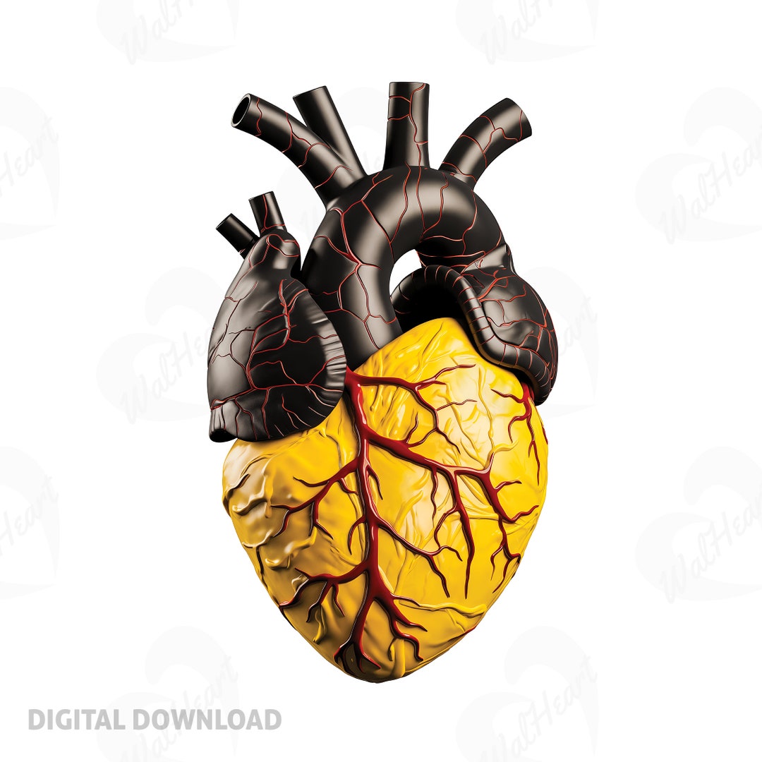 Heart Anatomy Poster Download Abstract Human Heart Art Heart Organ Wall Decor Cardiology Digital