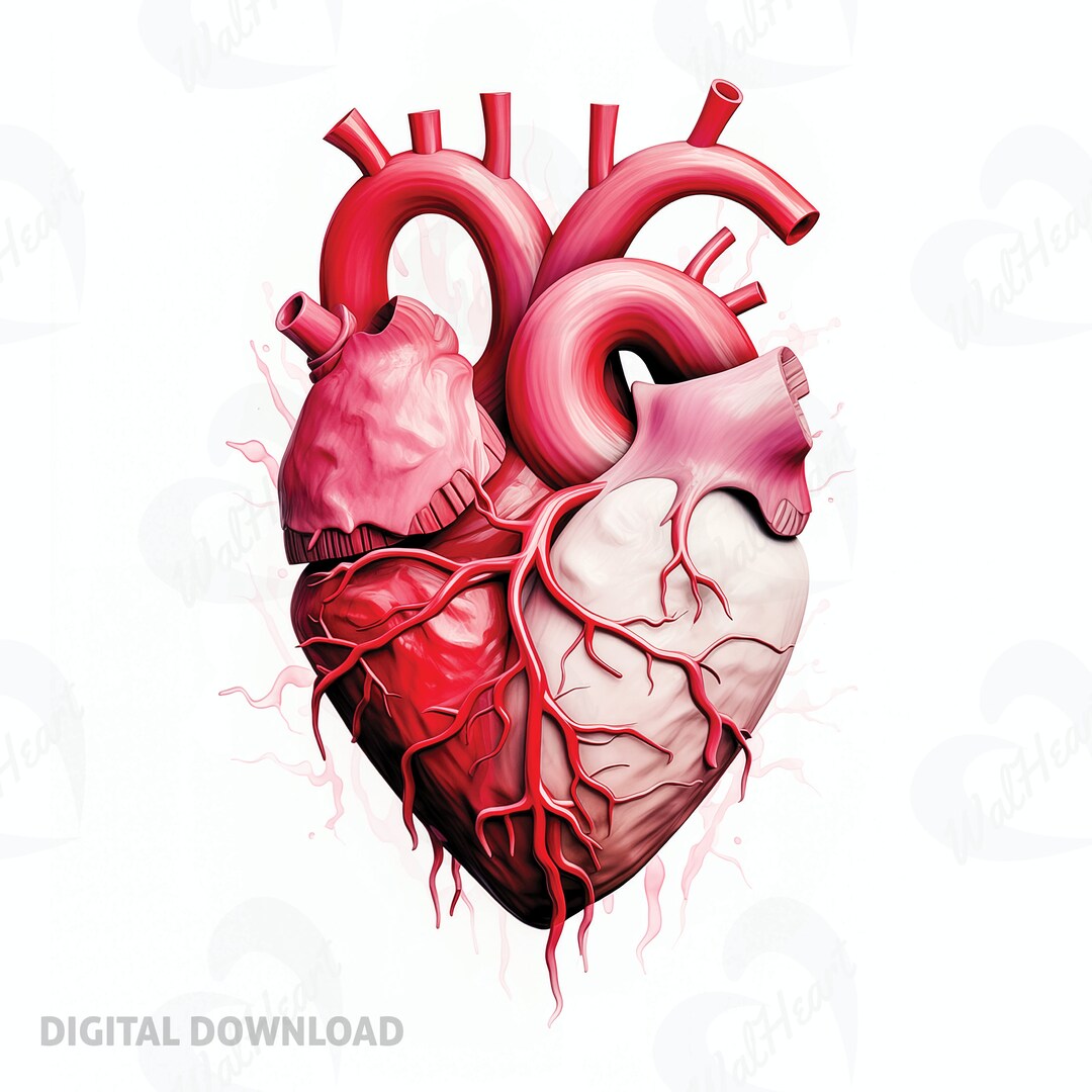 Human Heart Painting Abstract Anatomical Heart Art Vascular Heart ...