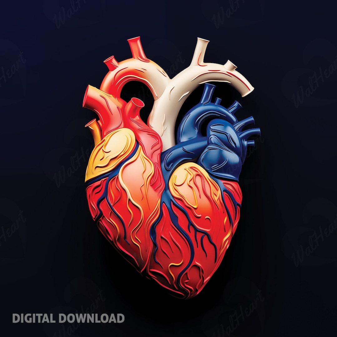 Colorful Heart Painting Human Heart Abstract Art Poster Vascular Heart ...