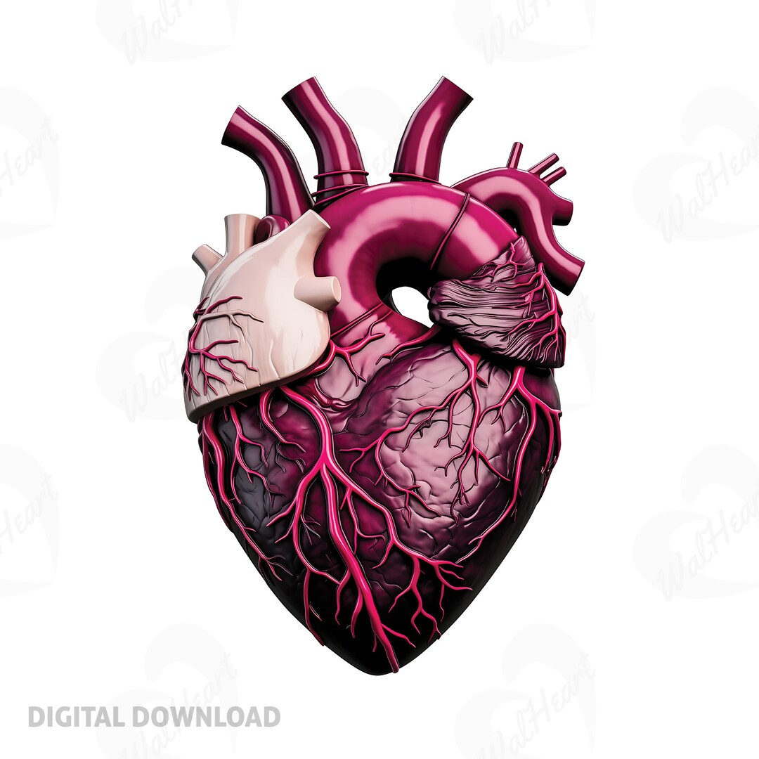 Human Heart Abstract Art Poster Anatomical Heart Artwork Heart Organ ...