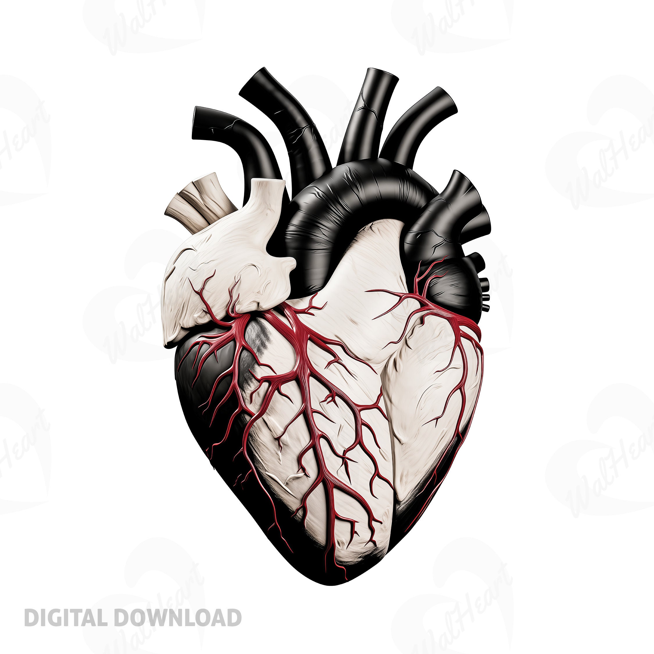 Human Heart Abstract Art Poster Anatomical Heart Wall Art Digital Heart ...