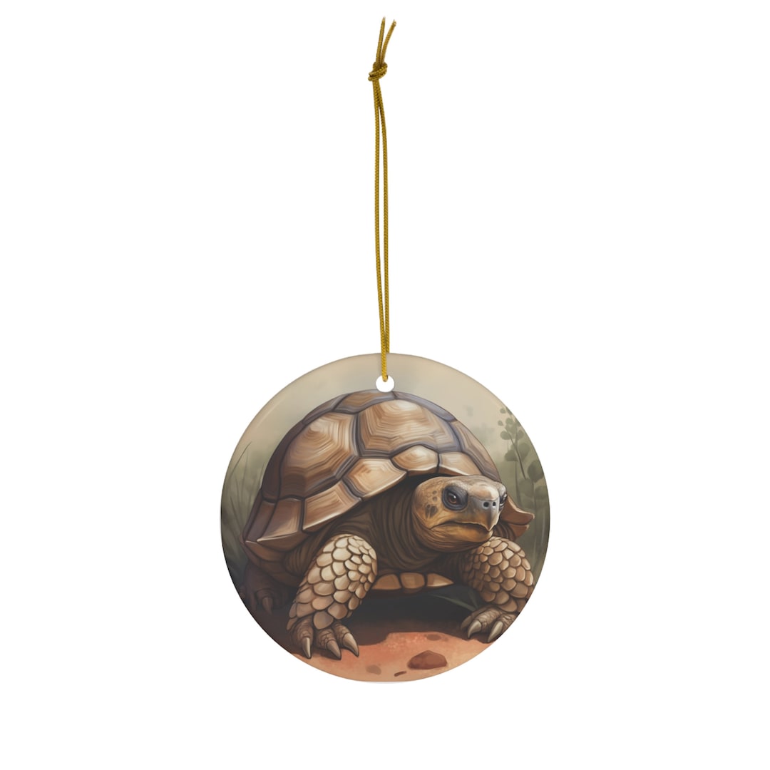 Tortoise Ornament / Pet Tortoise / Tortoise Enthusiast / Tortoise Shell ...