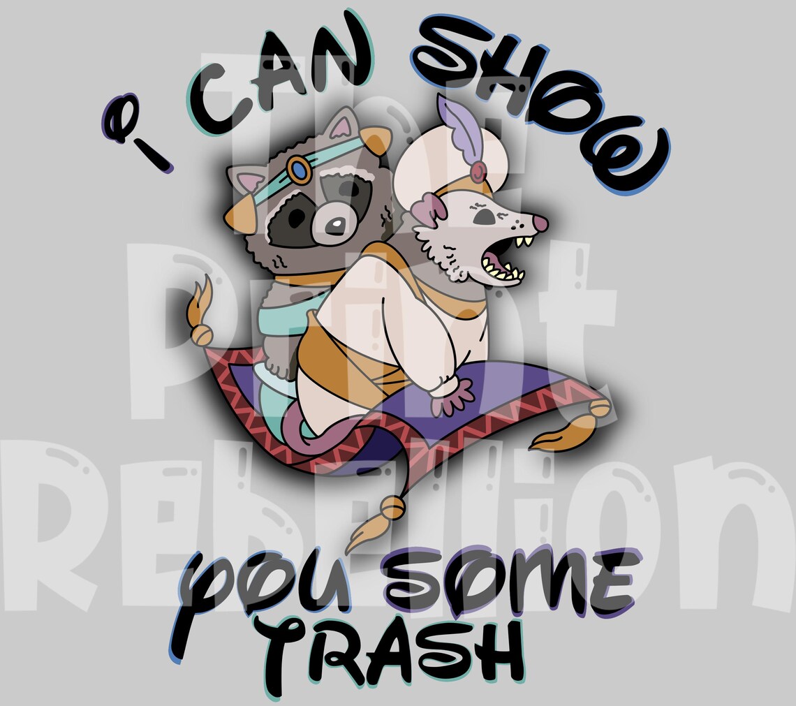 I Can Show You Some Trash PNG, Aladdin, Raccoon, Possum, Funny, Shirt ...